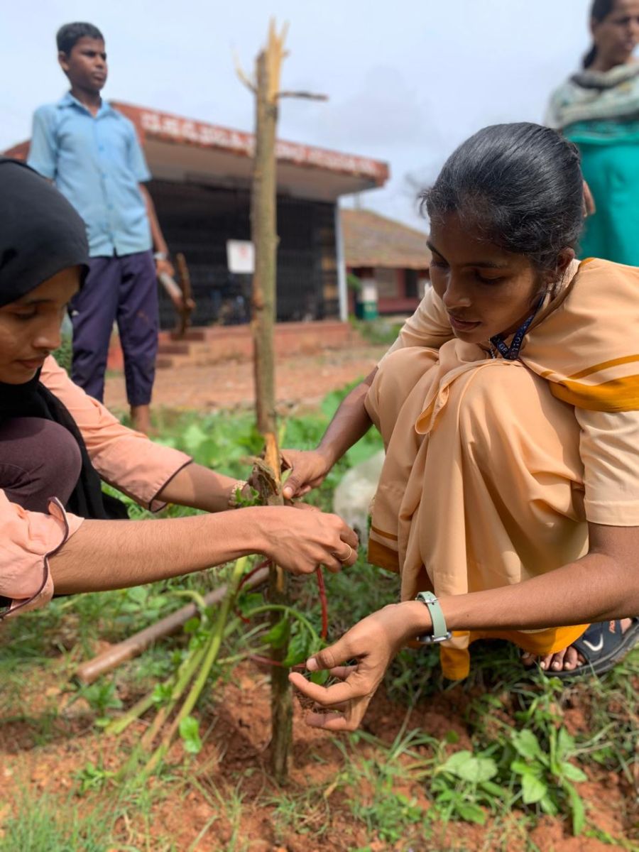 Agnes Towards Community (ATC) Leads Plantation Drive for a Sustainable ...